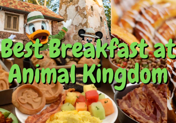 Best Breakfast in Hollywood Studios - Vacation Fun 4 Everyone